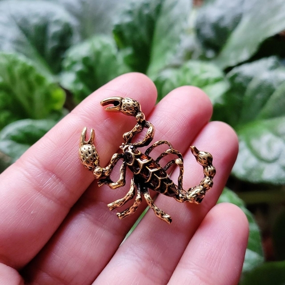 Jewelry | New Scorpion Brooch Pin | Poshmark